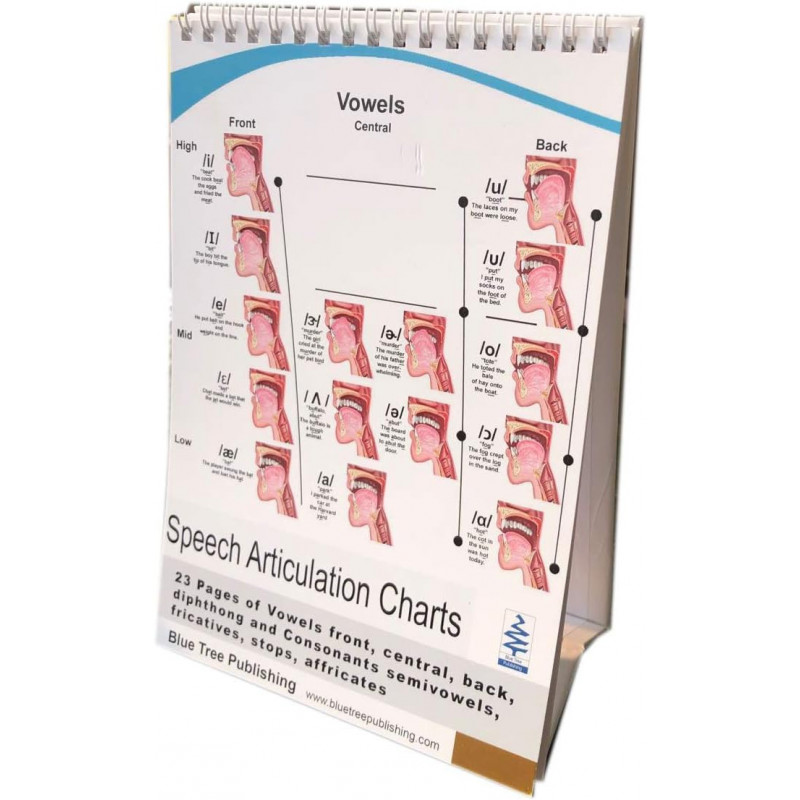 Speech articulation anatomy Flip Charts