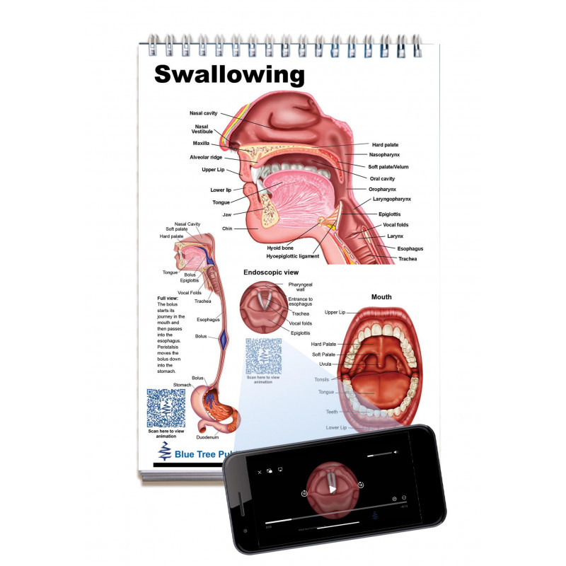 Speech Language Pathology SLP Charts Complete Series