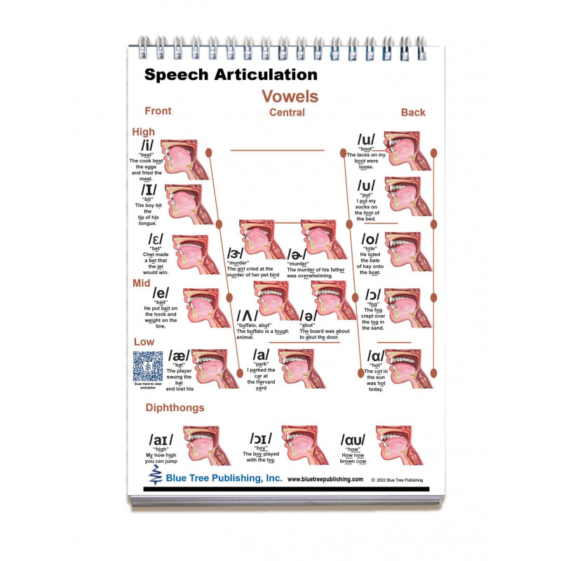 Speech Language Pathology SLP Charts Complete Series