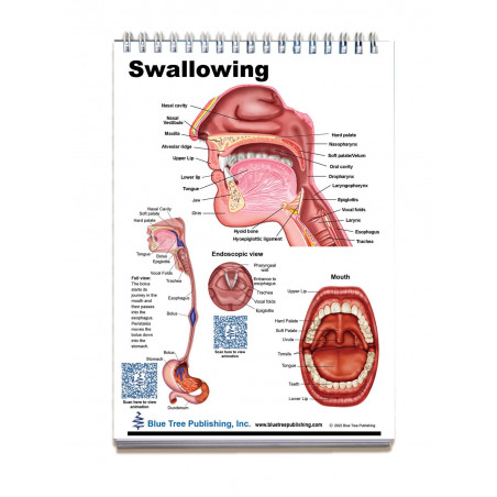Speech Language Pathology SLP Charts Complete Series