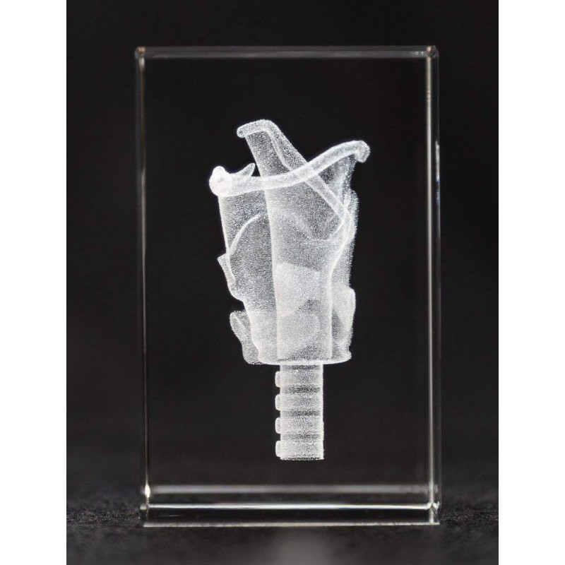 Larynx 3D Laser Large Crystal, Anatomy, Voice Box, Singing, Adam's Apple