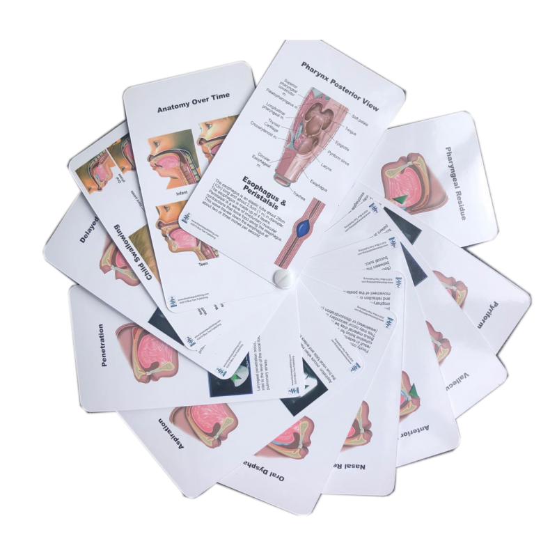 SLP Speech Language Pathology Swallowing and Oral Anatomy Teaching 6 ...