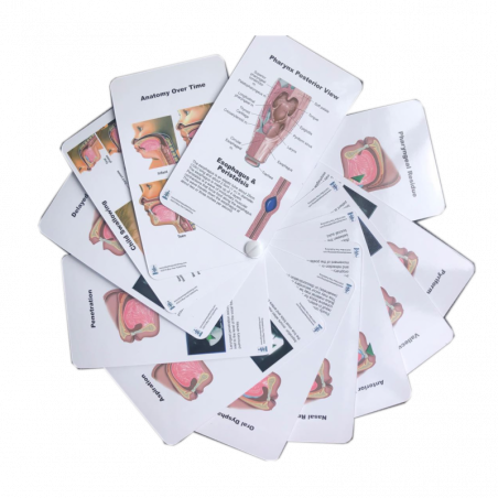 SLP Speech Language Pathology Swallowing and Oral Anatomy Teaching 6 ...