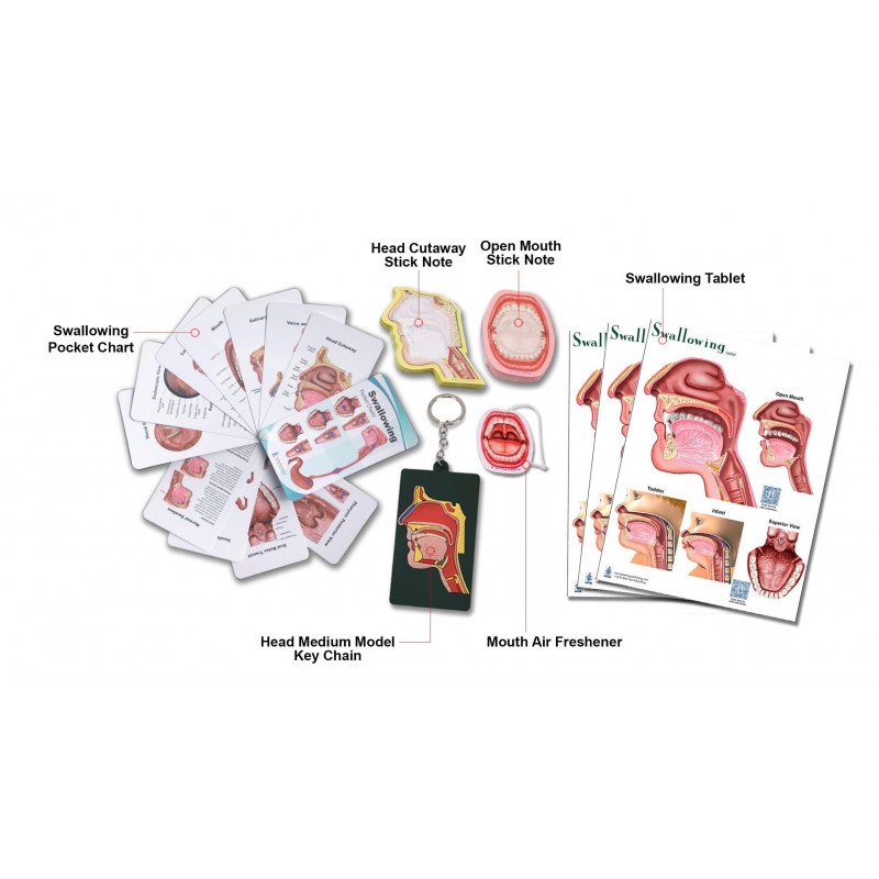 SLP Speech Language Pathology Swallowing and Oral Anatomy Teaching 6 ...