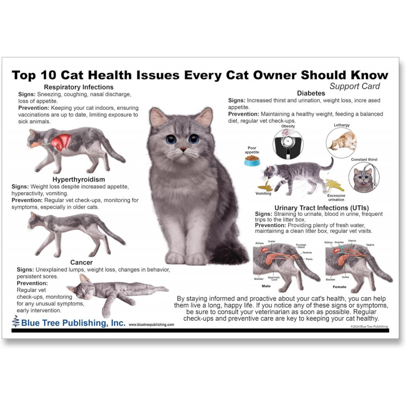 Cat Health Issues support chart