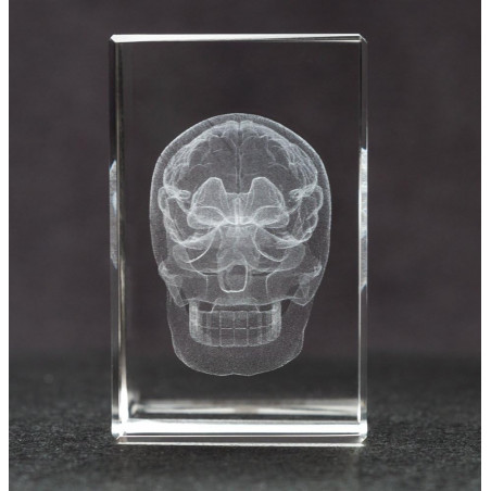 Skull and Brain 3D Laser Medium Size Crystal