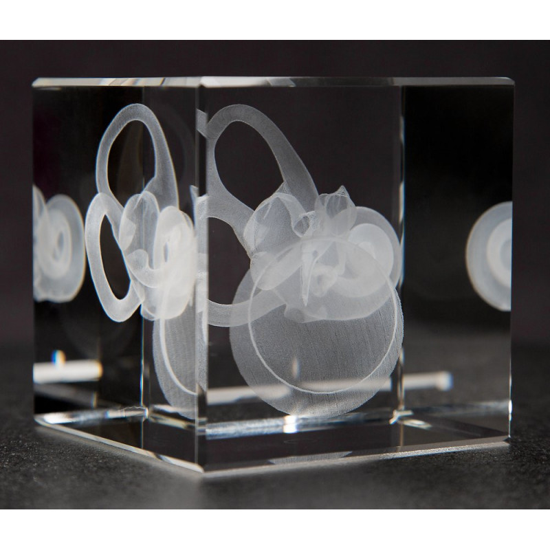 Ear Medium Crystal with Ear Drum, Ossicular Chain, Cochlea Crystal