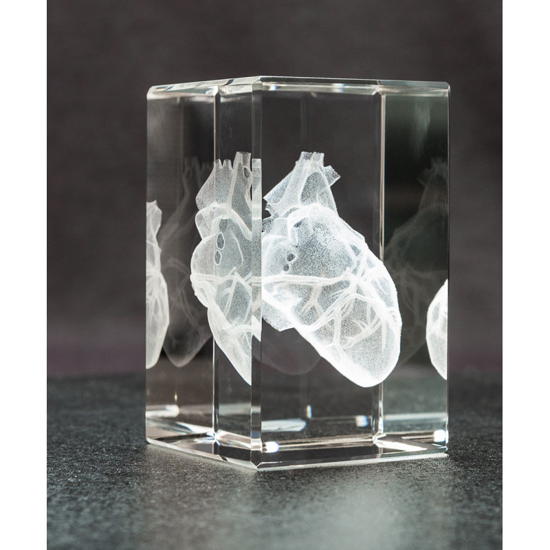 Heart 3D Laser Medium Crystal, Anatomy, Circulation
