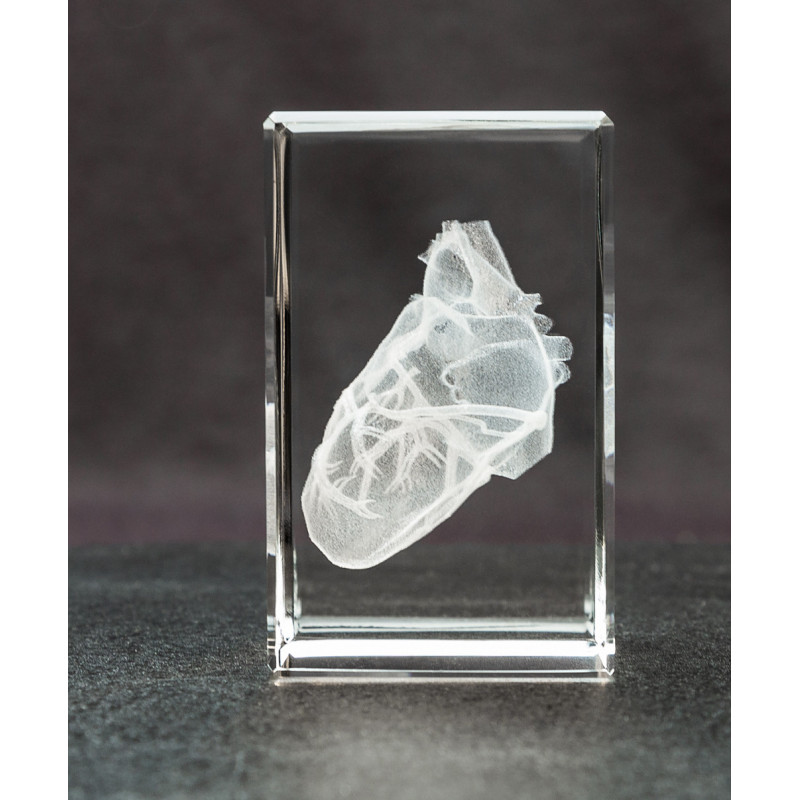 Heart 3D Laser Medium Crystal, Anatomy, Circulation