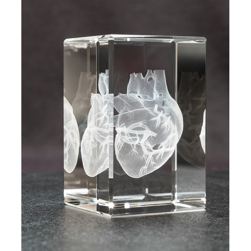 Heart 3D Laser Medium Crystal, Anatomy, Circulation