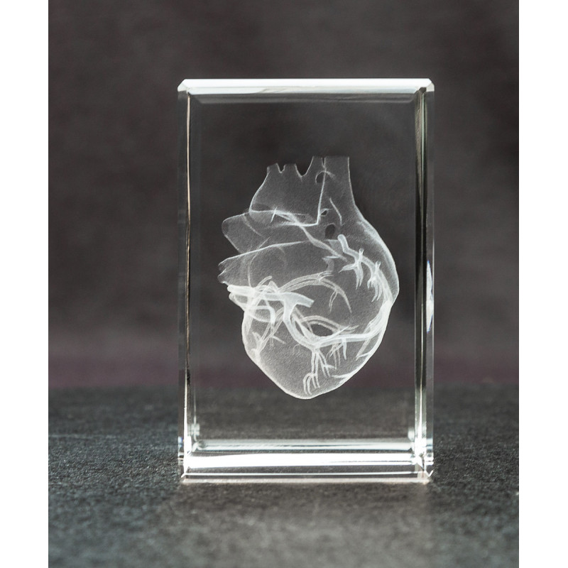 Heart 3D Laser Medium Crystal, Anatomy, Circulation