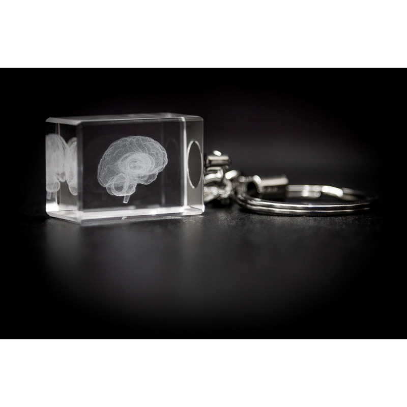 Brain Key Chain. Anatomy, Crystal