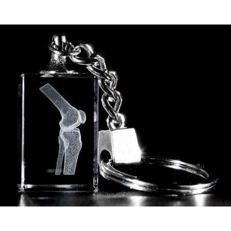 Knee 3d Laser Crystal Key Chain, Anatomy, Sports