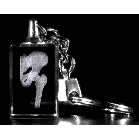 Hip 3d Laser Key Chain Crystal, Anatomy, Bone, Physical Therapy, Sports