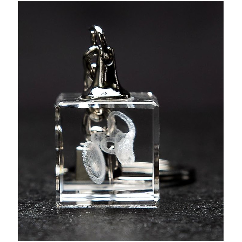 Ear Drum, Bones, Cochlea 3d Laser Crystal Key Chain, Anatomy, Doctors ...