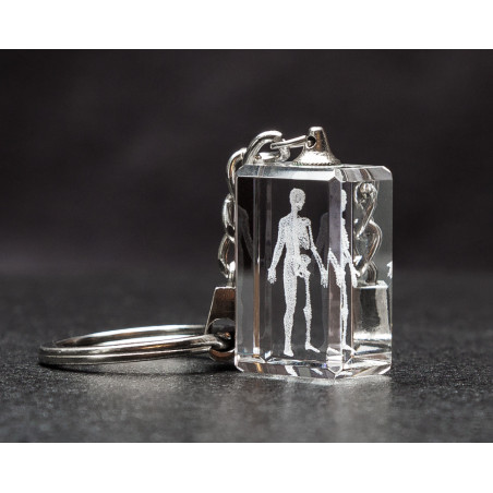 Human Body 3D Laser Key Chain Crystal, Anatomy, Half Human Body, Half ...