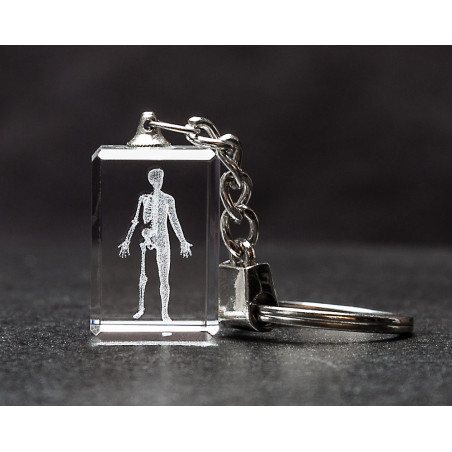 Human Body 3D Laser Key Chain Crystal, Anatomy, Half Human Body, Half ...