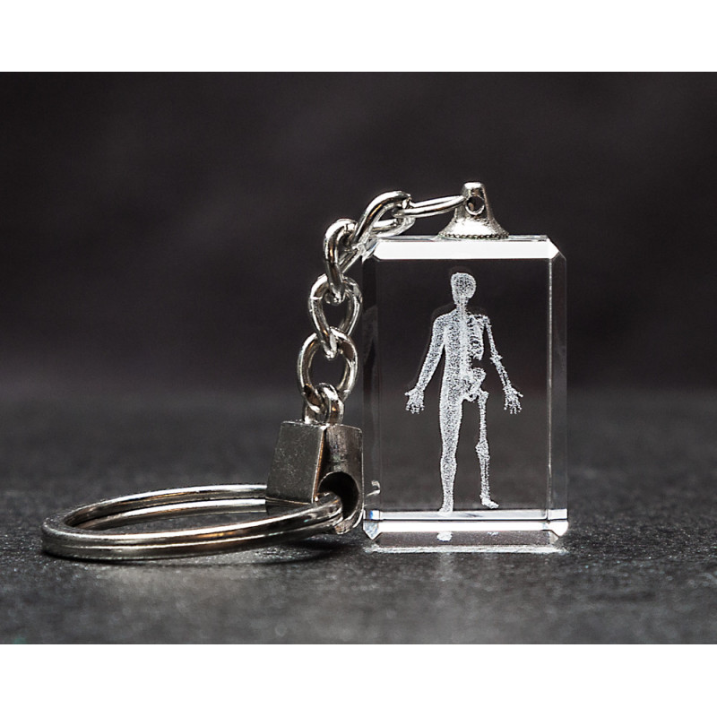 Human Body 3D Laser Key Chain Crystal, Anatomy, Half Human Body, Half ...